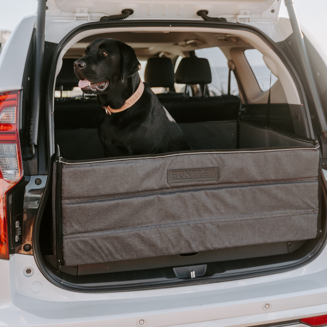 Huntlea Car Boot Box – Pet Box